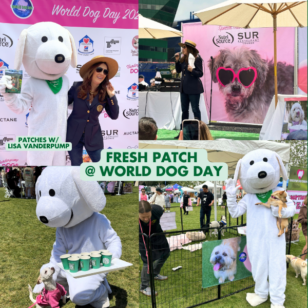 Tips for potty training a puppy - Fresh Patch doggie grass