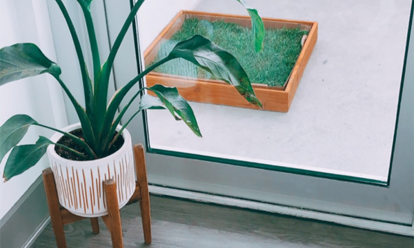 Why Do Our Customers Choose Fresh Patch?