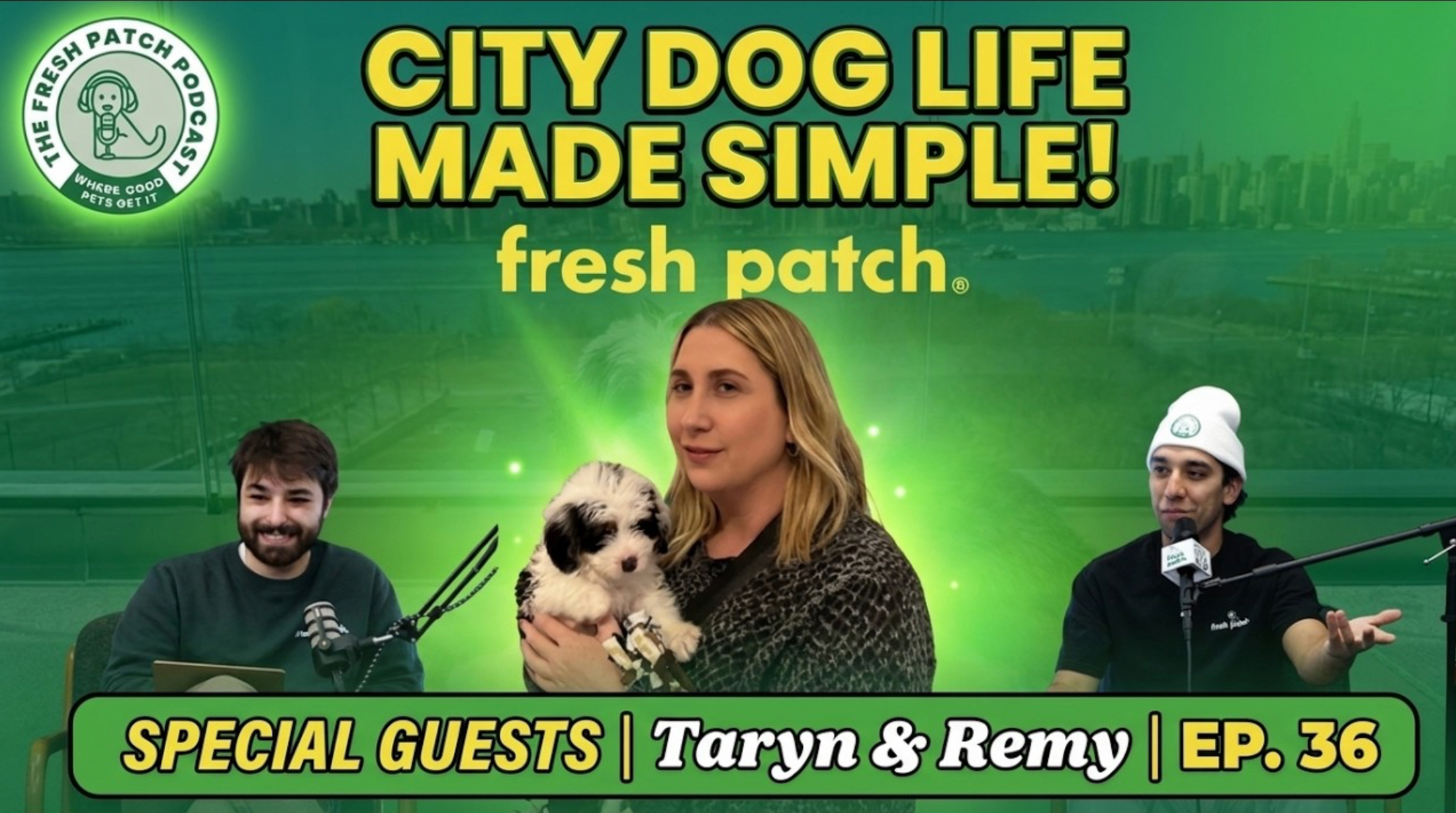Raising A Bernedoodle In Brooklyn With A Real Grass Potty – Fresh Patch
