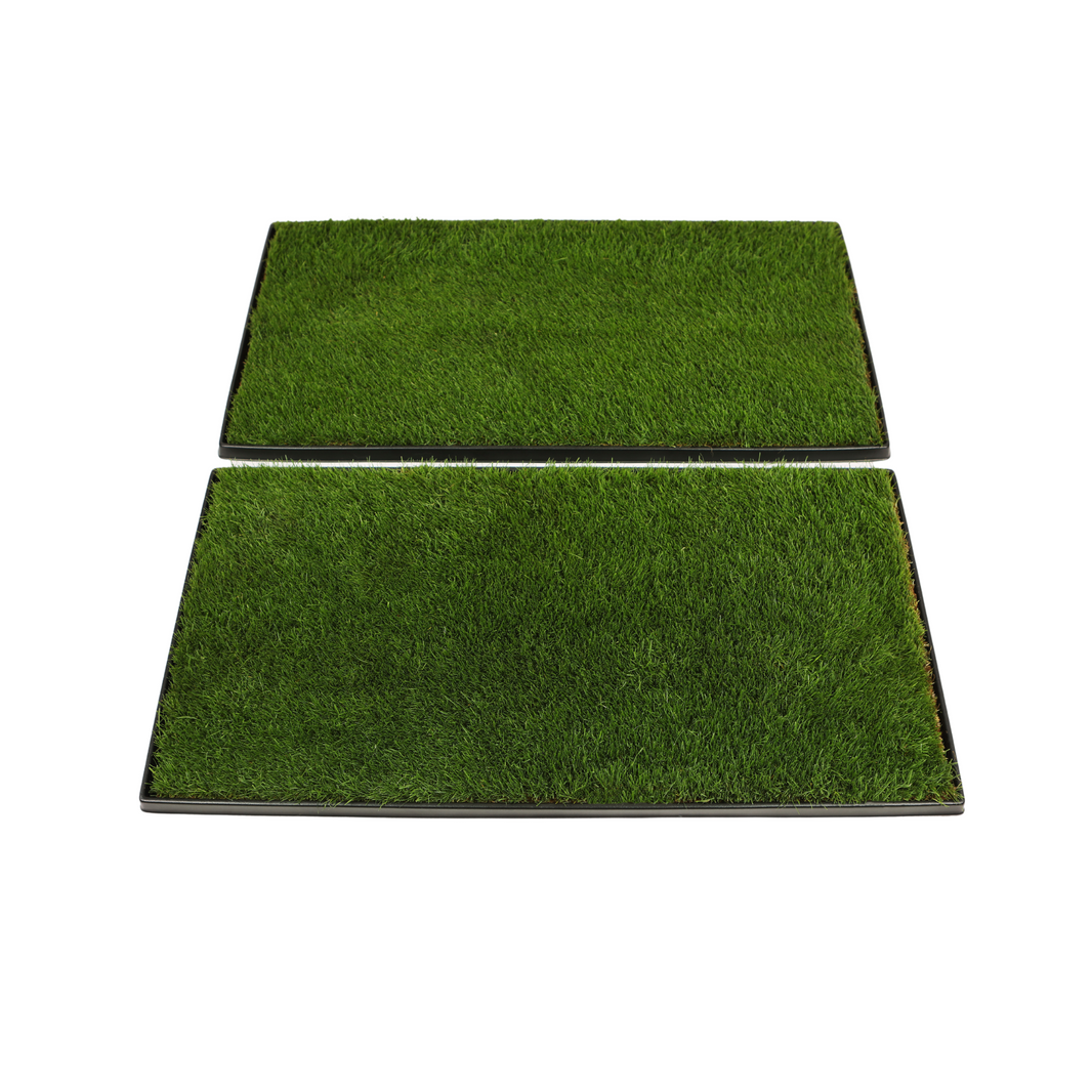 The Fresh Patch Standard - 16" x 24" Apartment Dog Grass (Real Grass)