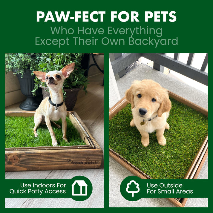 The Fresh Patch Mini - Pet Grass Pad for dogs and cats (Real Grass)