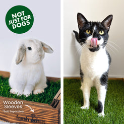 The Fresh Patch Mini - Pet Grass Pad for dogs and cats (Real Grass)