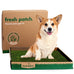 Fresh Patch Large - Dog Grass Pee Pad (Real Grass)