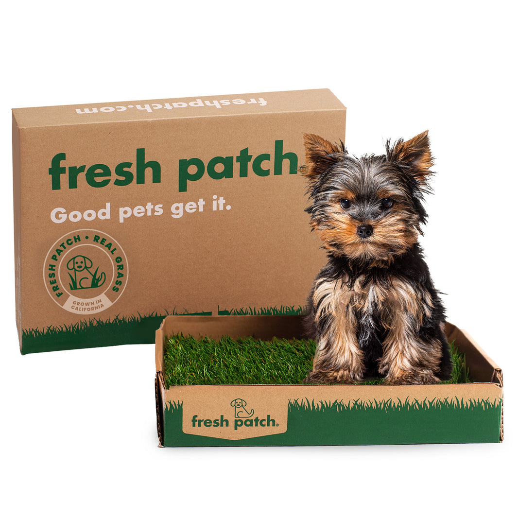 Products – Fresh Patch