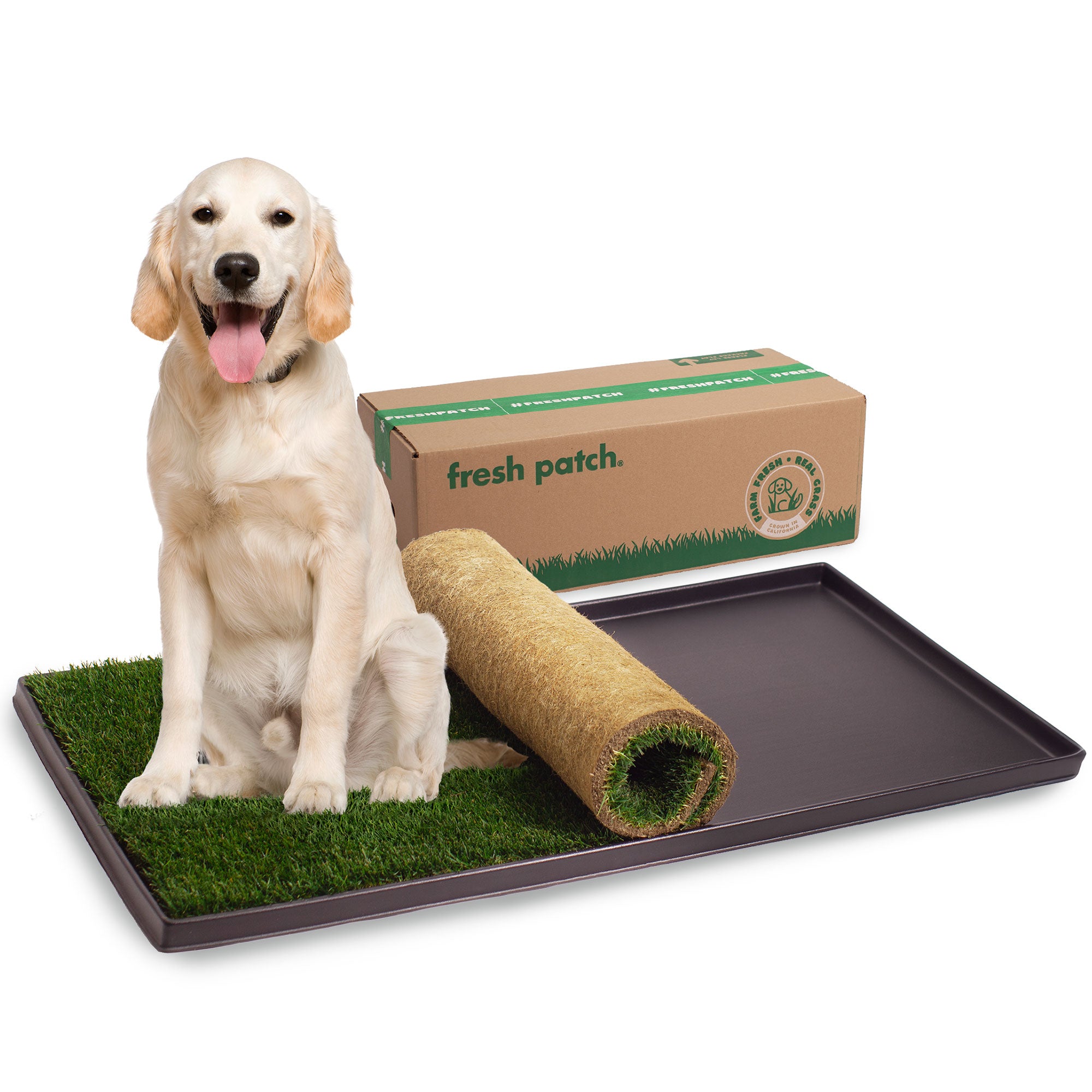 Grass & Tray Combos – Fresh Patch