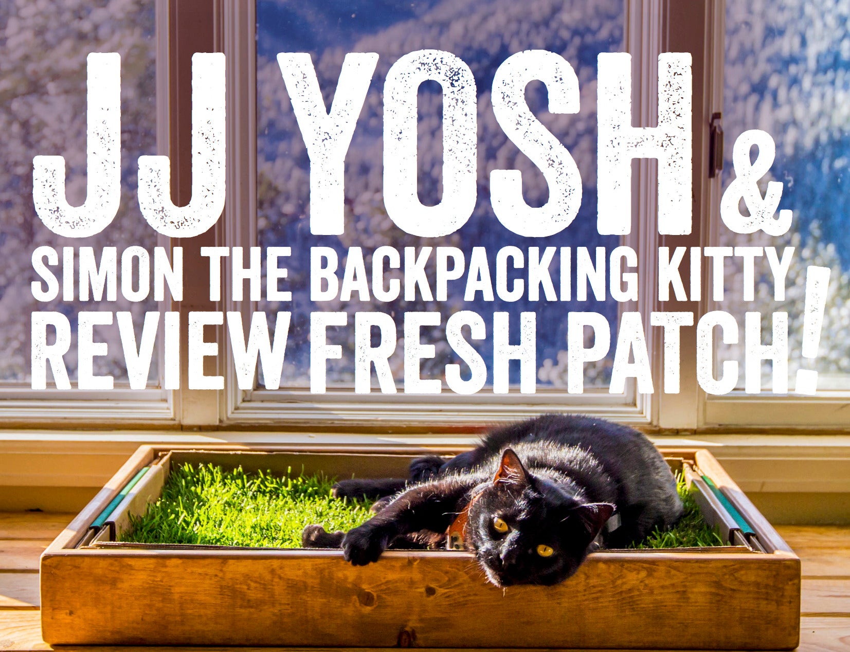 Fresh Patch - Doggie Grass,Trays and Sleeves - Featured Collections