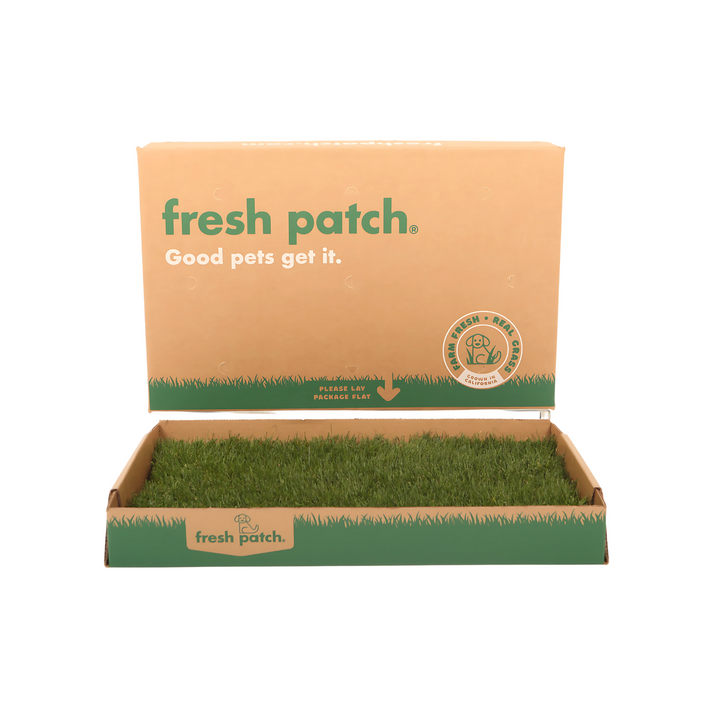 The Fresh Patch Standard - 16" x 24" Apartment Dog Grass (Real Grass)