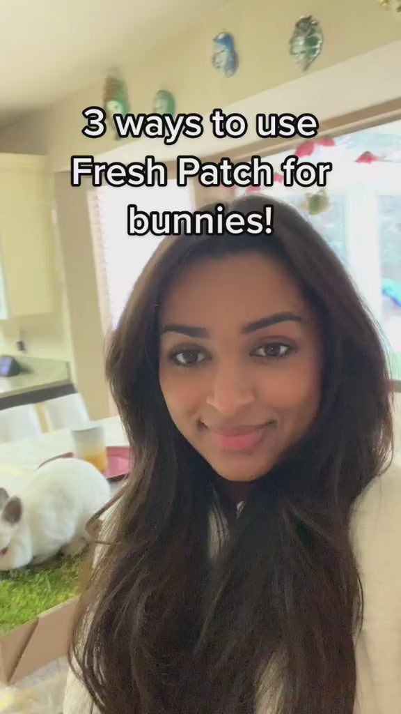 The Fresh Patch Rabbit Patch - Farm Fresh Grass Pad (Mini)