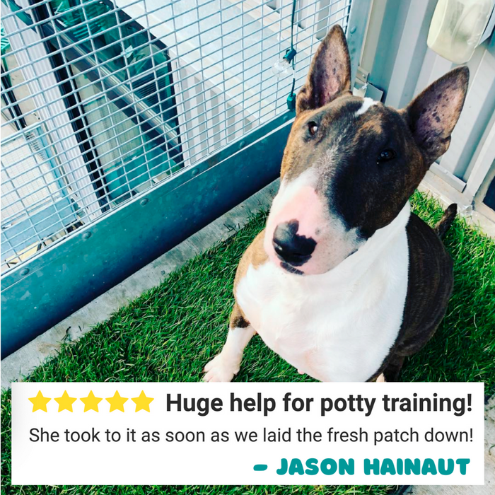 The Fresh Patch XL Patch, the best Dog Potty for Patio or Balcony