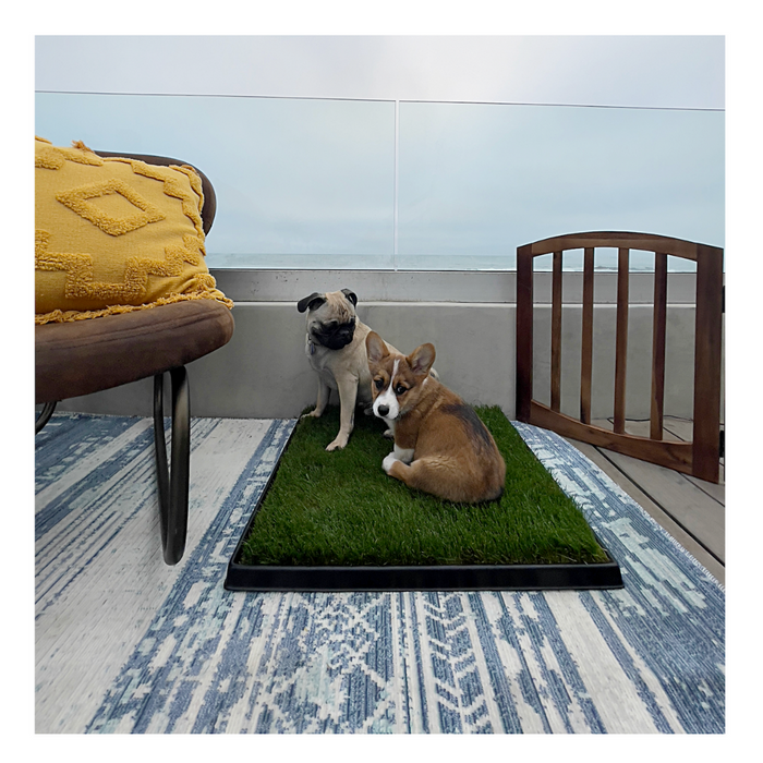 Fresh Patch Large - Dog Grass Pee Pad (Real Grass)