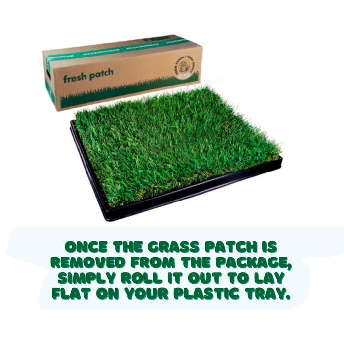 Large Plastic Tray for Fresh Patch Dog Grass Pee Pad