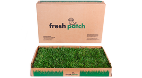 The Fresh Patch Standard - 16" x 24" Apartment Dog Grass (Real Grass)