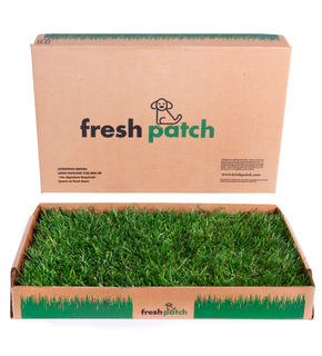 The Fresh Patch XL Patch, the best Dog Potty for Patio or Balcony