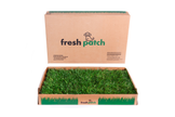 The Fresh Patch Standard - 16" x 24" Apartment Dog Grass (Real Grass)
