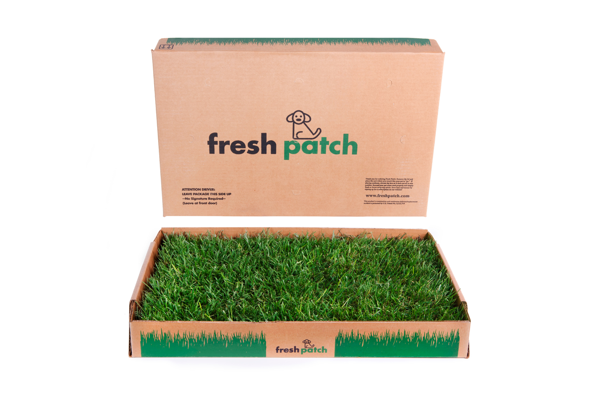 Choose Grass Size