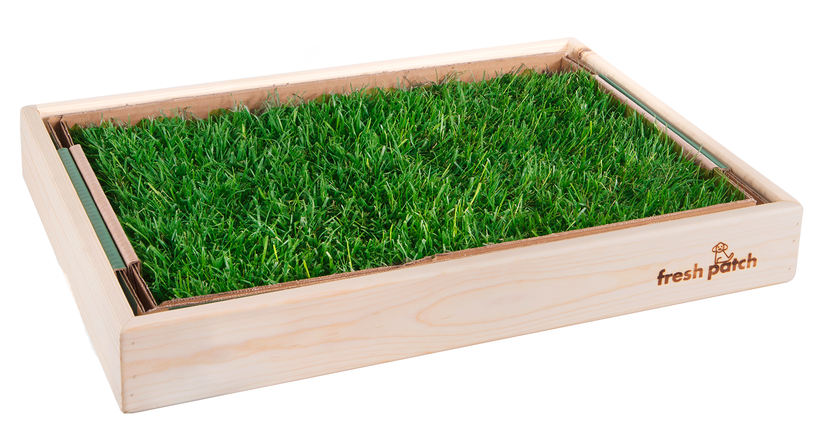 Fresh Patch Puppy Grass Pads Pack