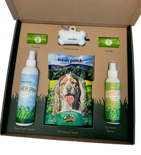 The Fresh Patch Standard - 16" x 24" Apartment Dog Grass (Real Grass)